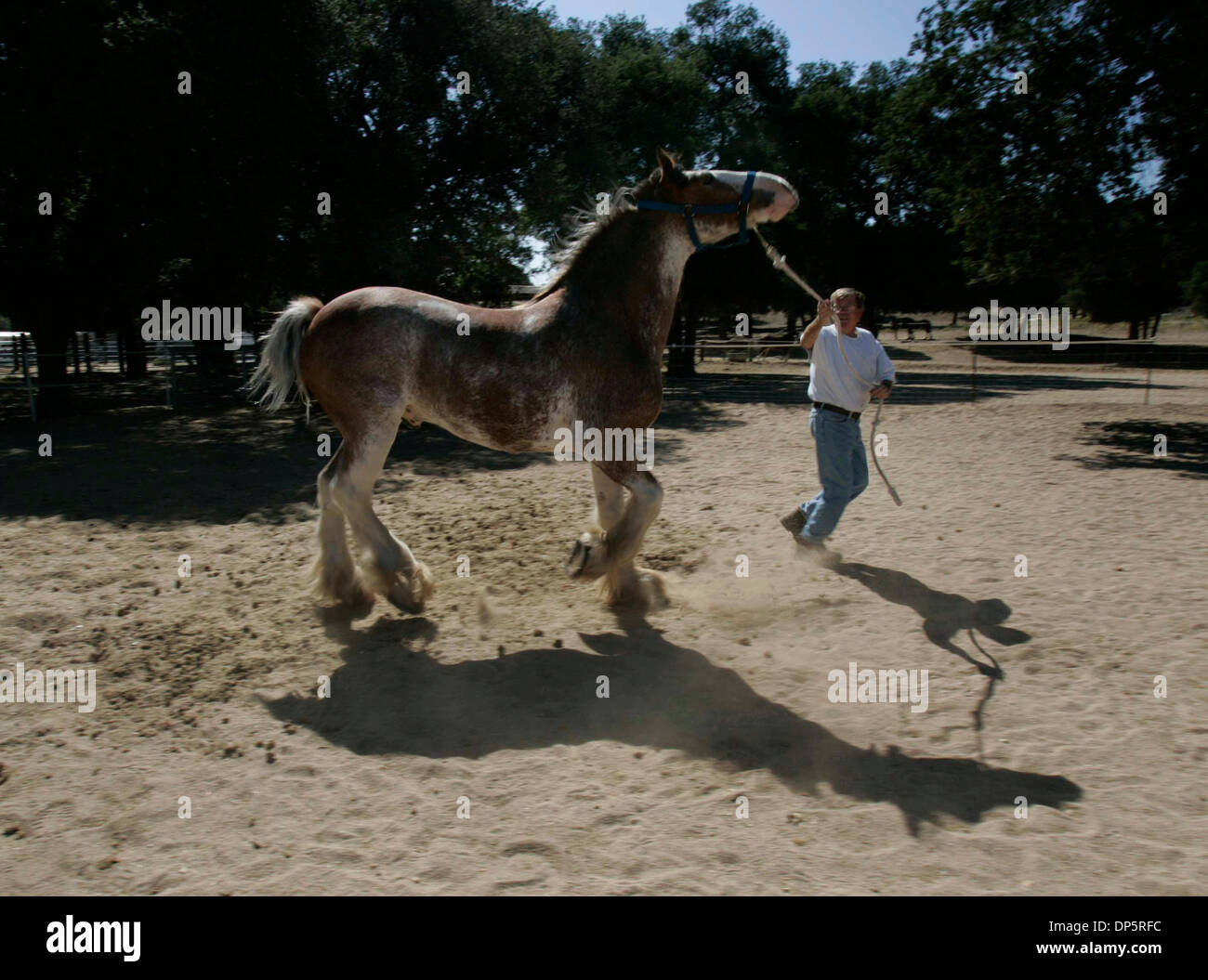 Sep 22, 2006; Boulevard, CA, USA; BOB GOOKIN, who along with his wife ...