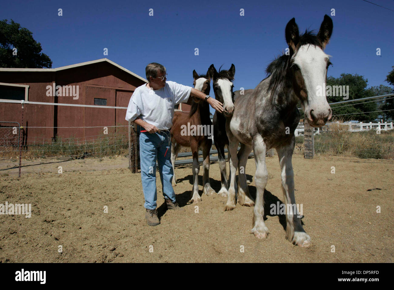Sep 22, 2006; Boulevard, CA, USA; BOB GOOKIN, who along with his wife ...