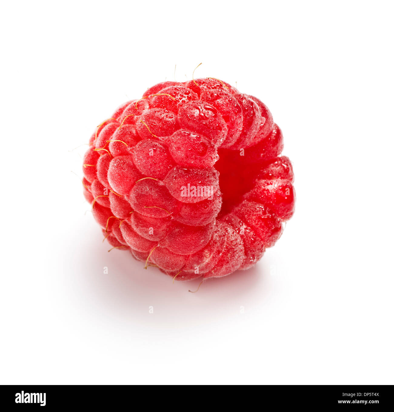single raspberry with drops on it, isolated on white background with ...