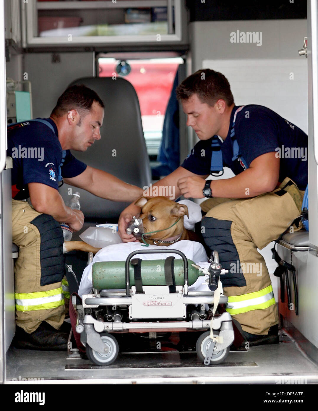 Paramedic dog hi-res stock photography and images - Alamy