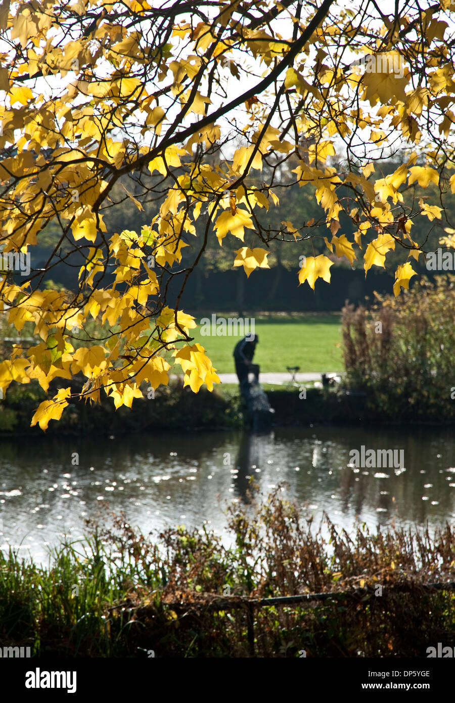River bank scene hi-res stock photography and images - Alamy