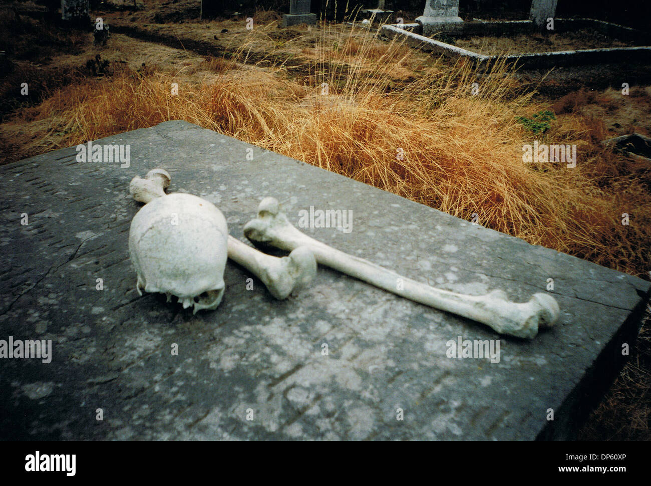 Human Bones at the Tombstone on a grave in Crecora Irland Stock Photo ...