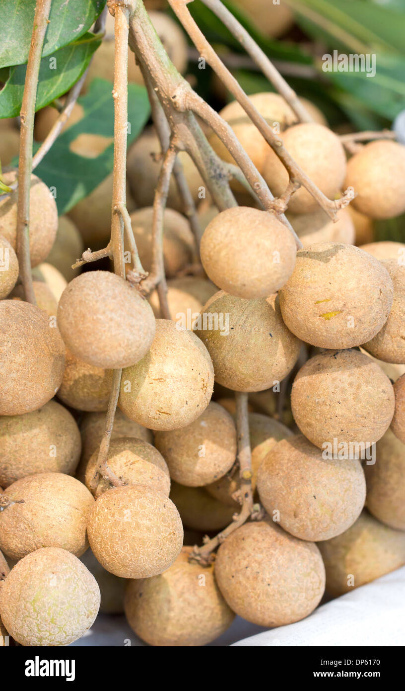 Bunch of longan Stock Photo - Alamy