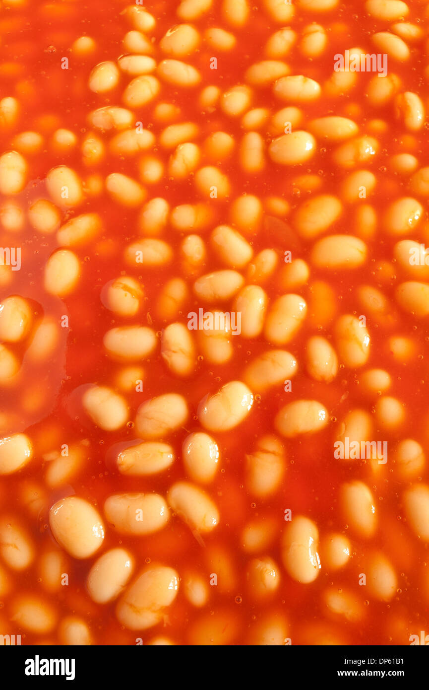 perspective close up shot of lots of baked beans almost an ocean Stock ...