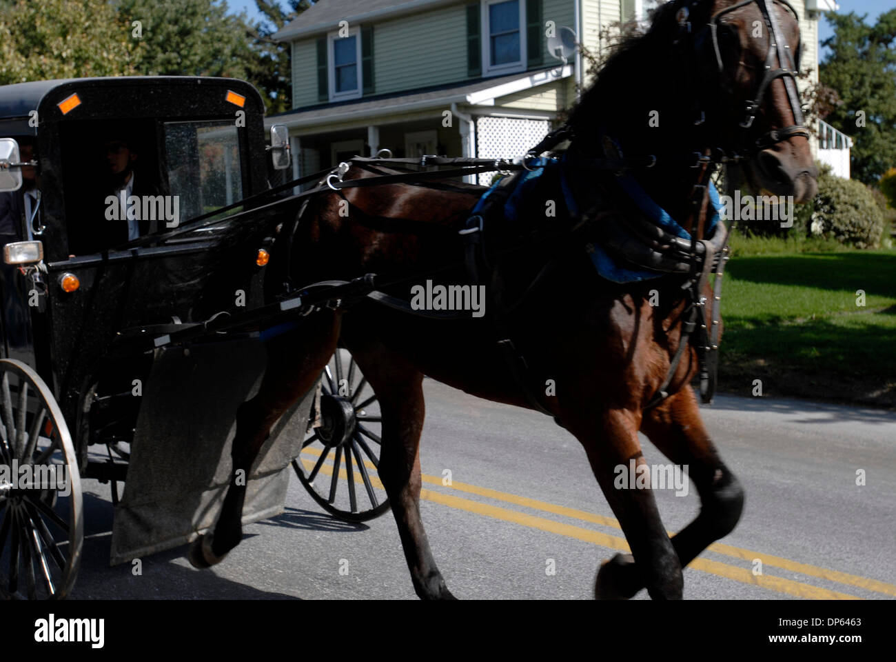 Oct 05, 2006; Georgetown, PA, USA; Funeral procession for the Amish ...