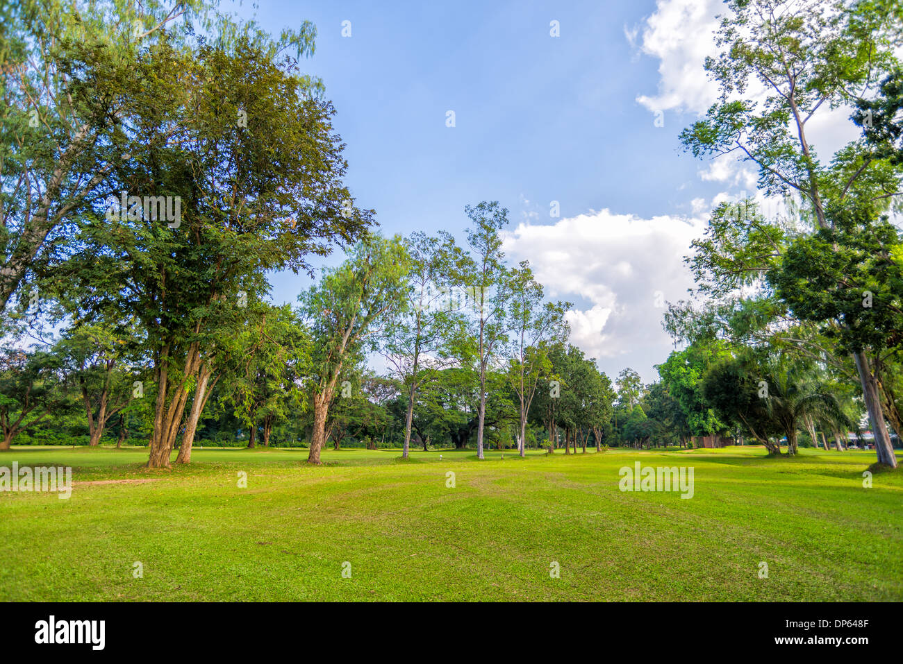 landscape of trees and grass field with sky and cloud Stock Photo - Alamy
