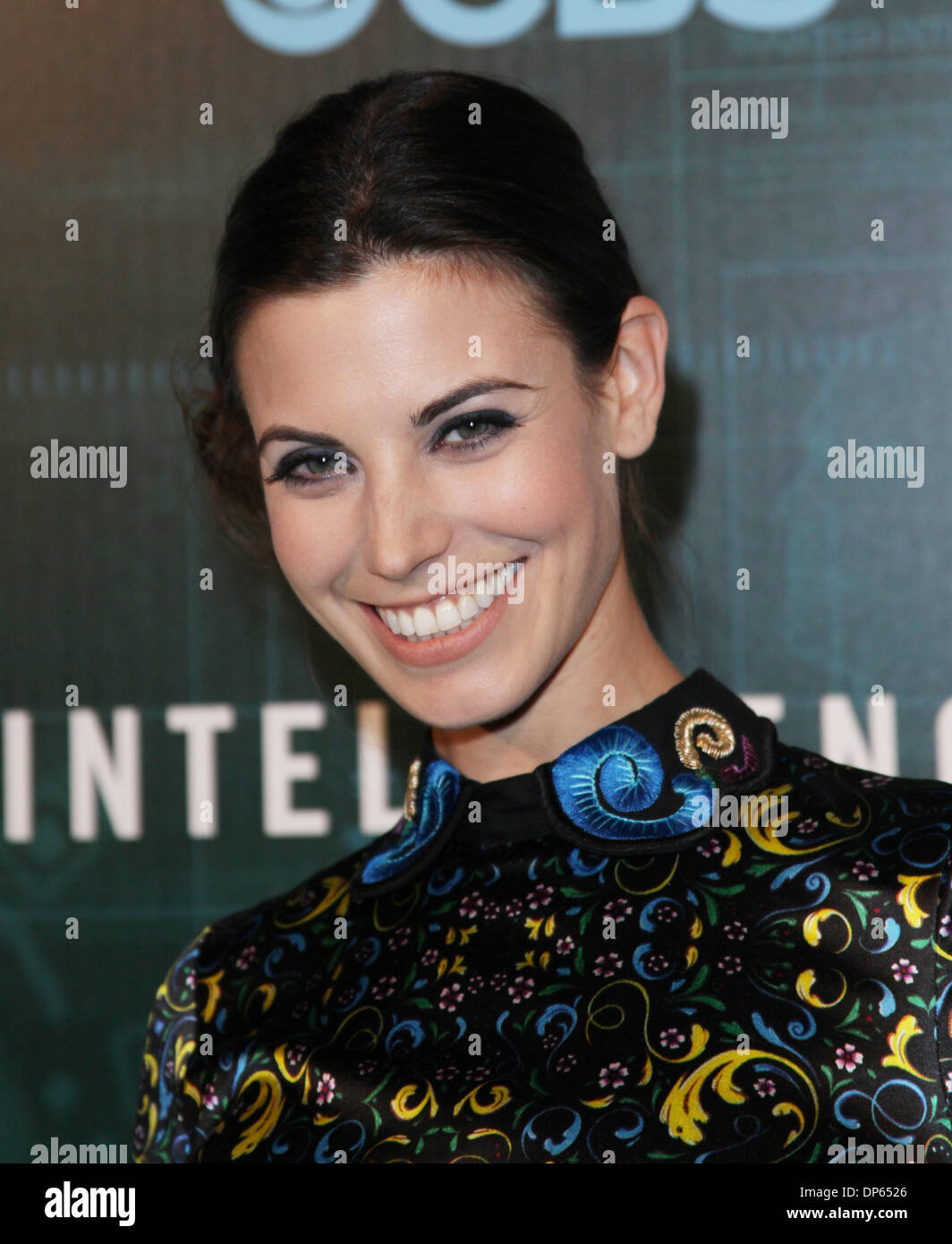 Actress Meghan Ory