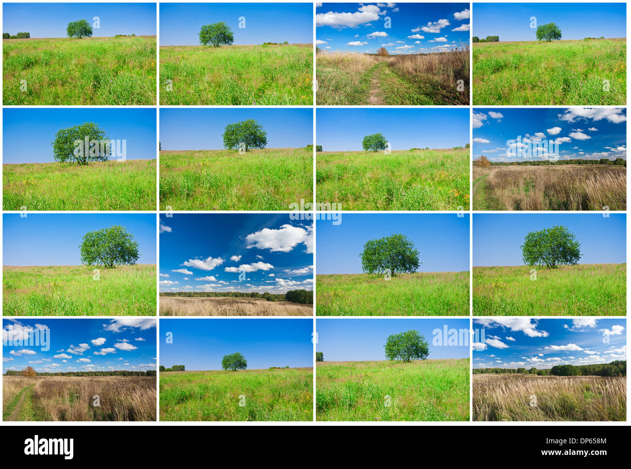 Tree and field Stock Photo - Alamy