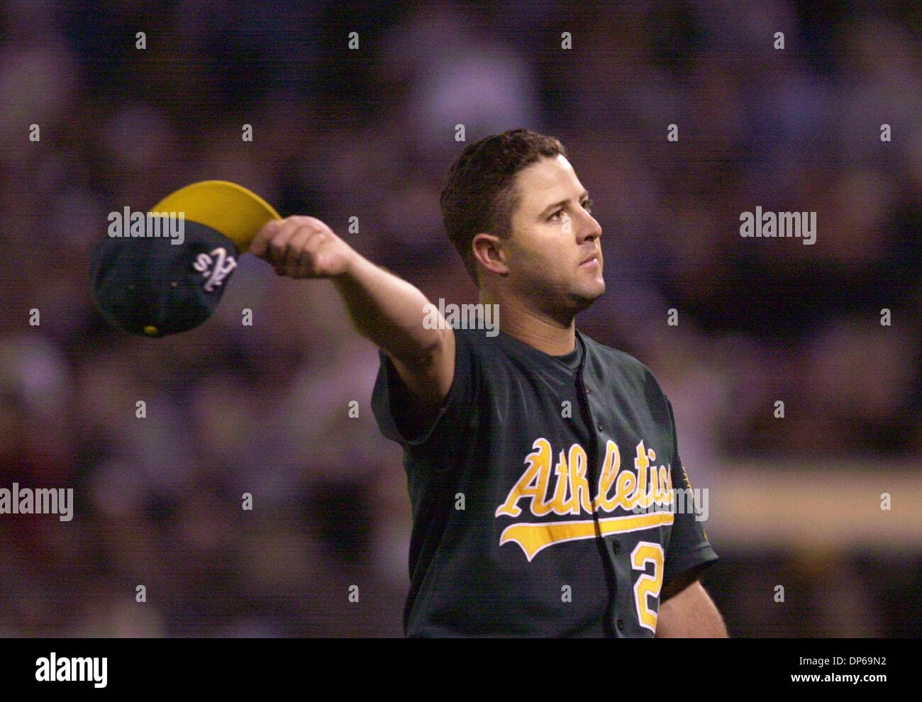 Lidle cory hi-res stock photography and images - Alamy