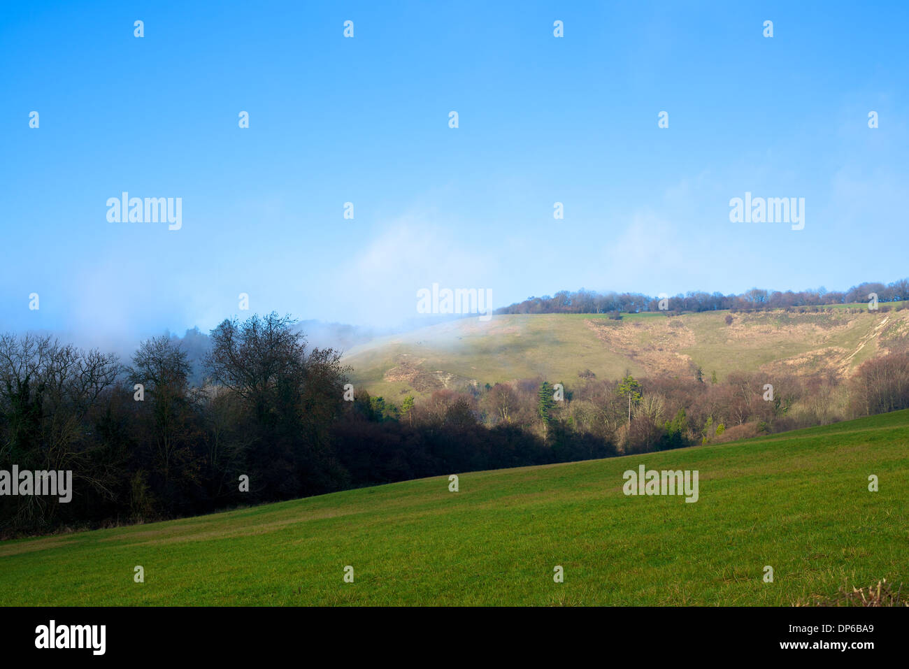 The white chalk scarp of the North Downs at Colley Hill, Reigate ...