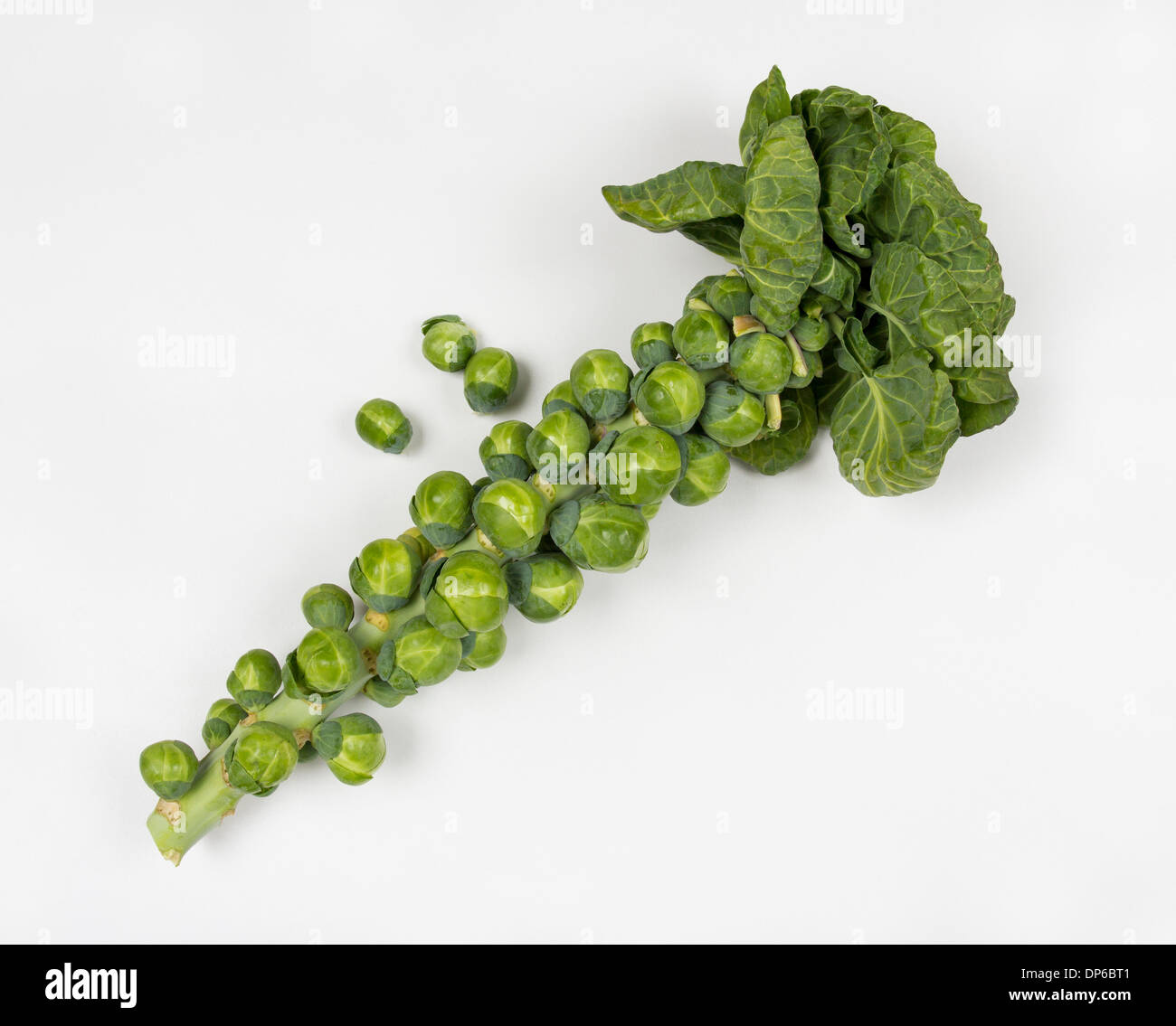 Edible stalk hi-res stock photography and images - Alamy