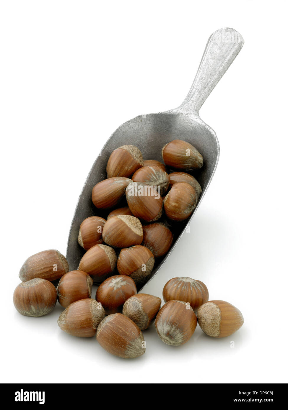 Hazelnut in shell hi-res stock photography and images - Alamy