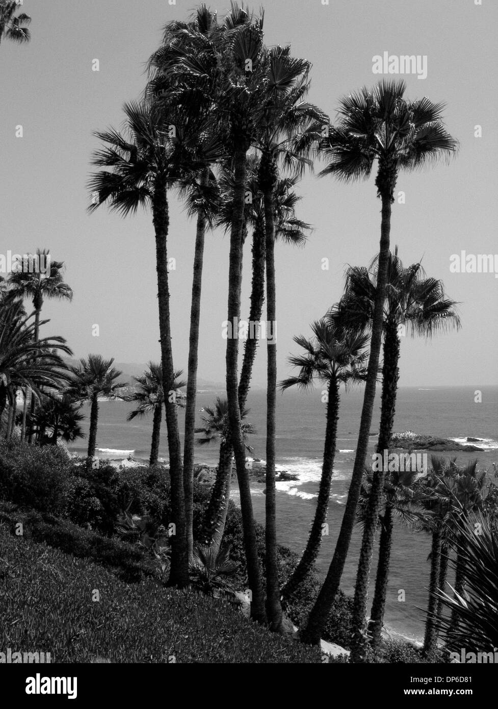 Mecca beach Black and White Stock Photos & Images - Alamy