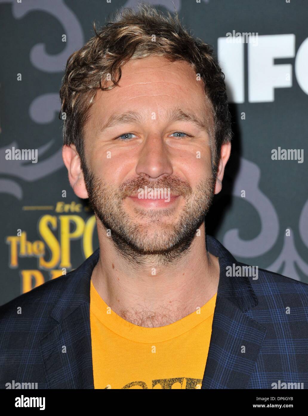 Los Angeles, CA, USA. 7th Jan, 2014. Chris O'Dowd at arrivals for THE ...