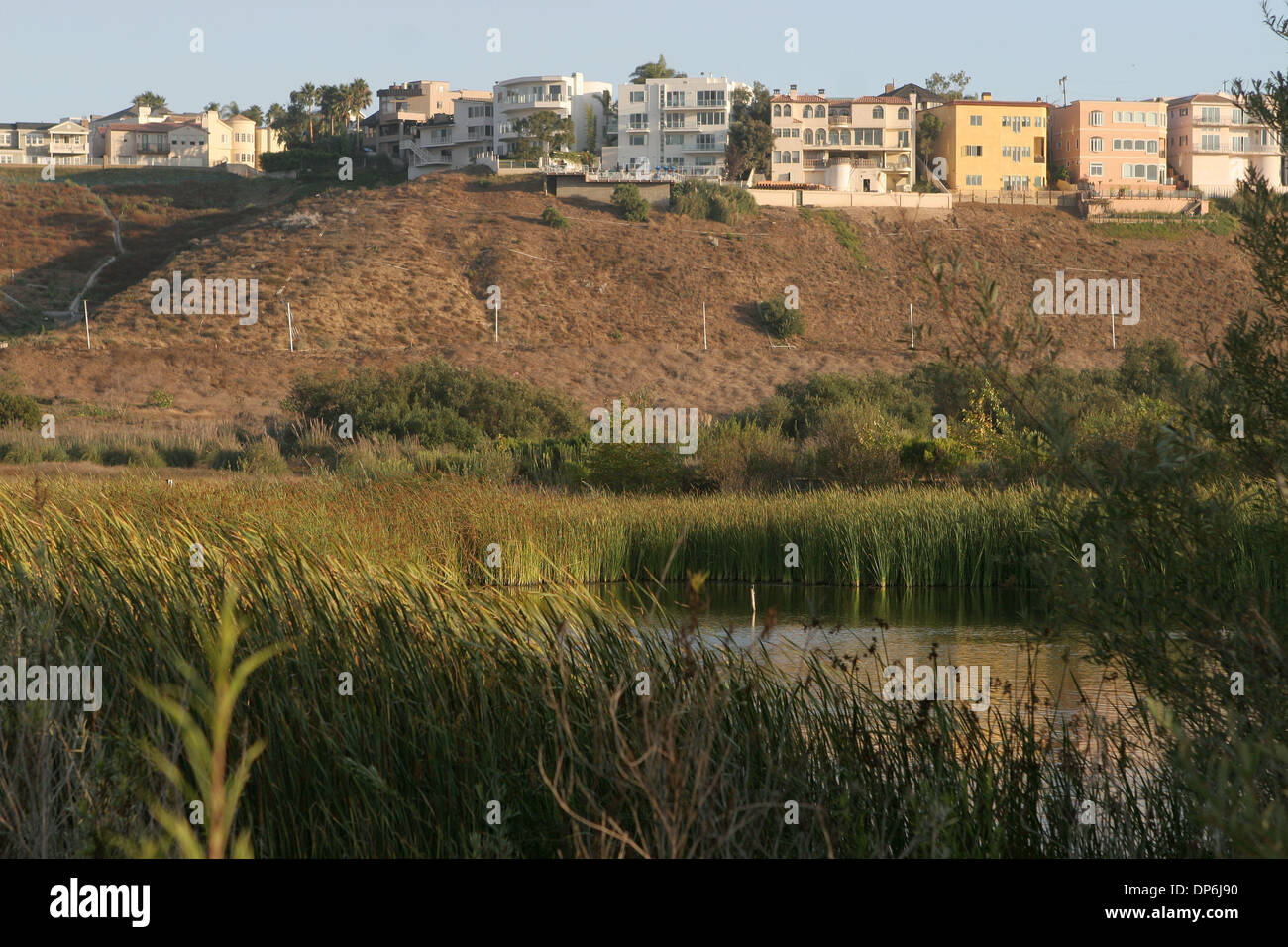 Oct 15, 2006 - Playa Del Rey, CA, USA - The freshwater marsh is part of ...