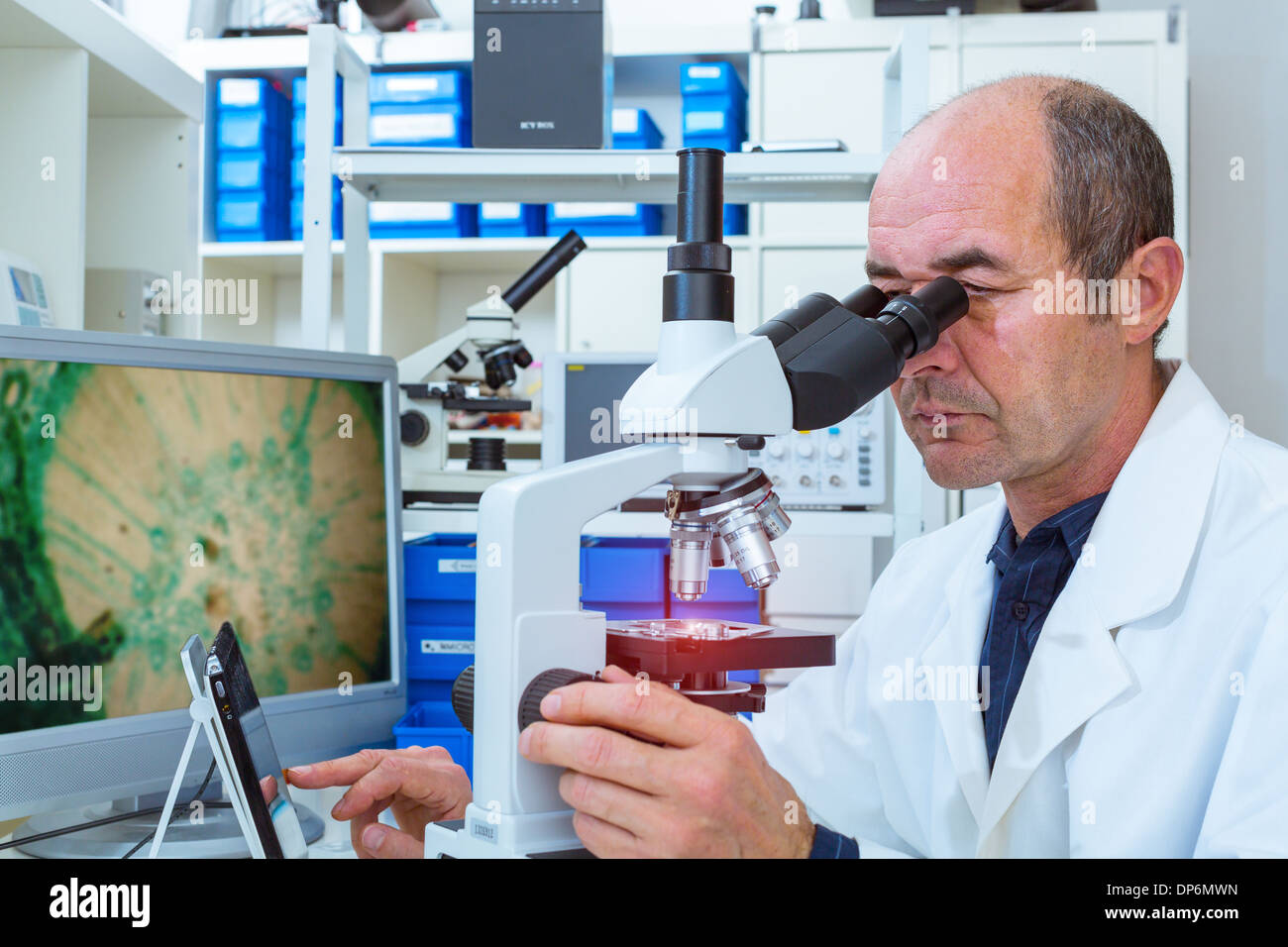 Biopsy slide hi-res stock photography and images - Alamy