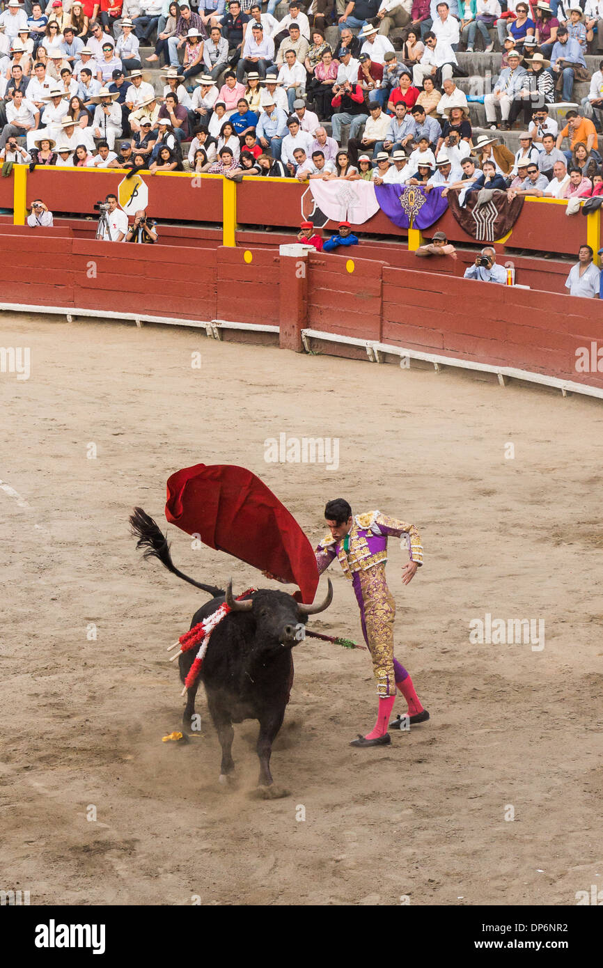 Feria Señor de Los Milagros at the Plaza de Acho in Lima Peru . 6 Bulls ...