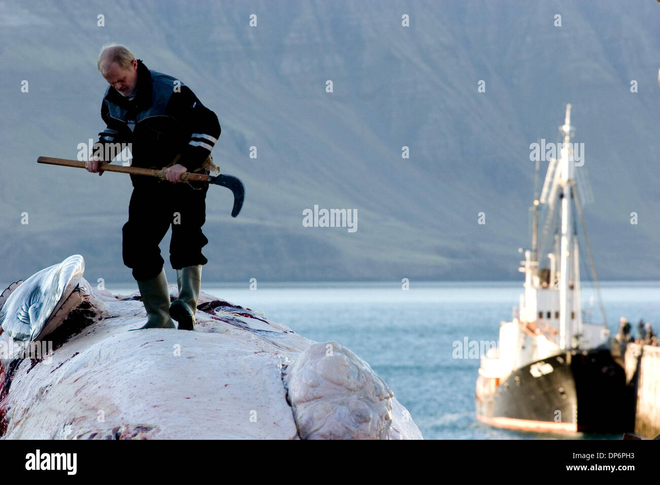 Harpooned hi-res stock photography and images - Alamy