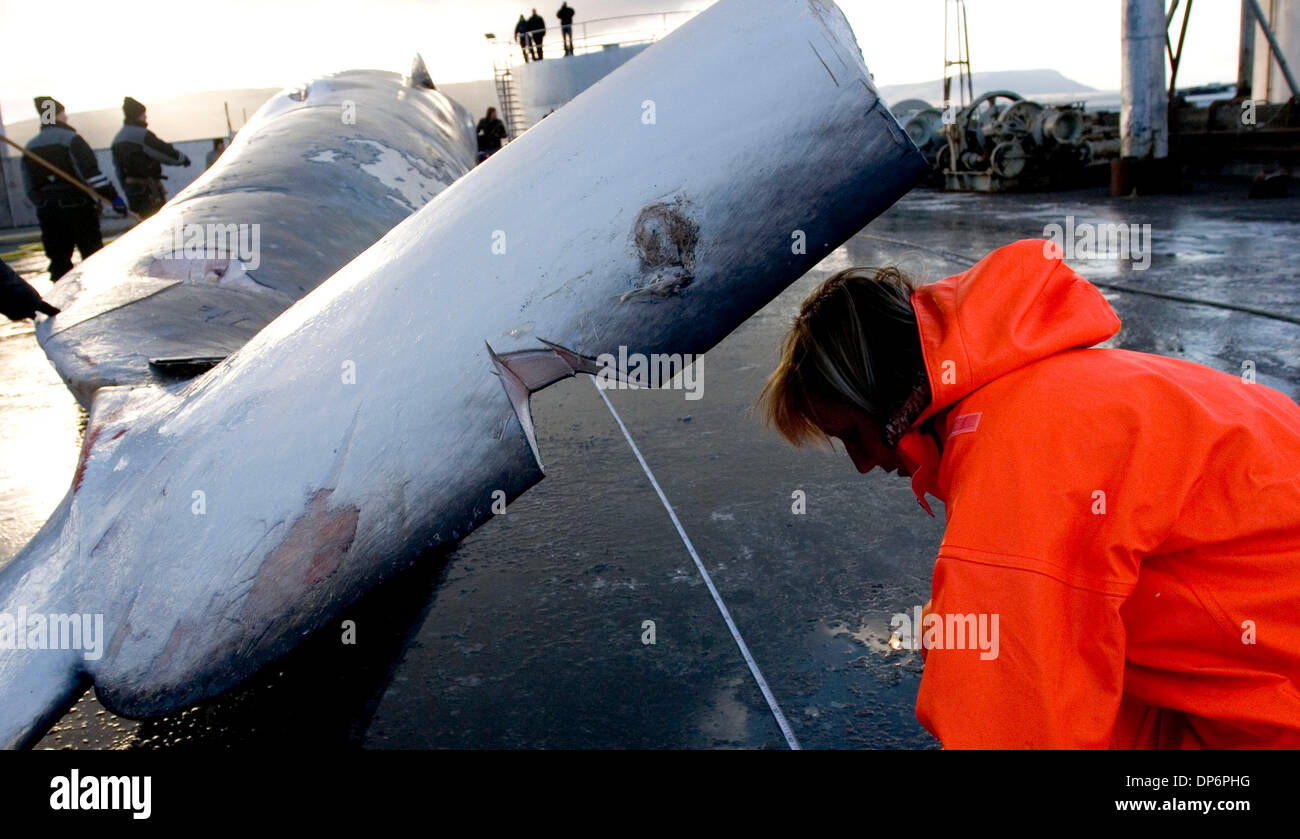 Harpooned whale hi-res stock photography and images - Alamy