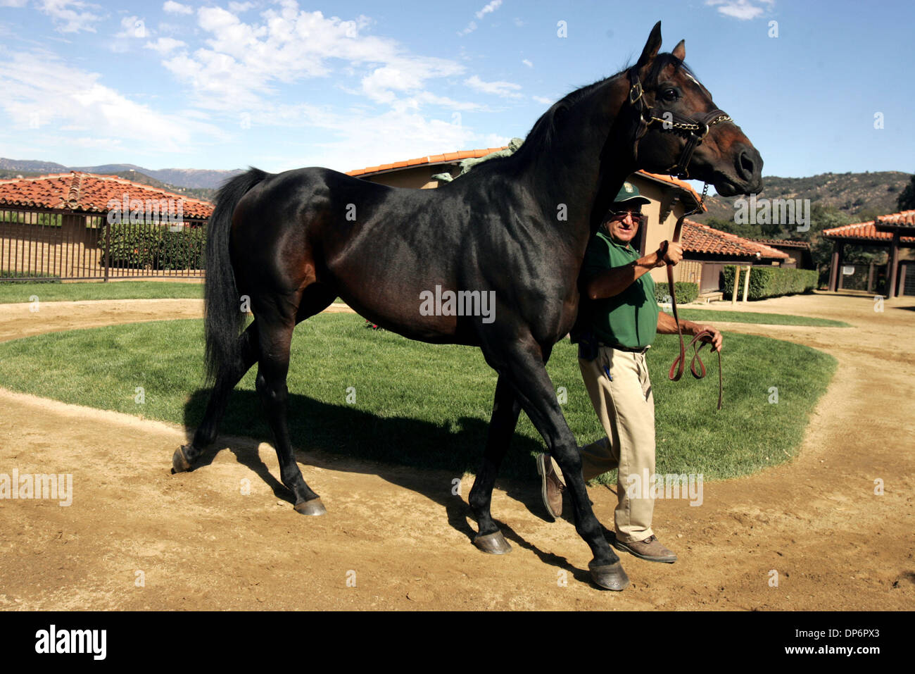 Oct 23, 2006; Ramona, CA, USA; Ballena Vista Farm in Ramona is one of ...