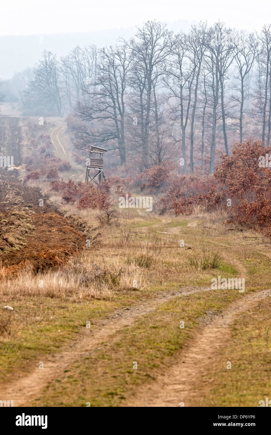 Road and hunter tower in the forest Stock Photo - Alamy