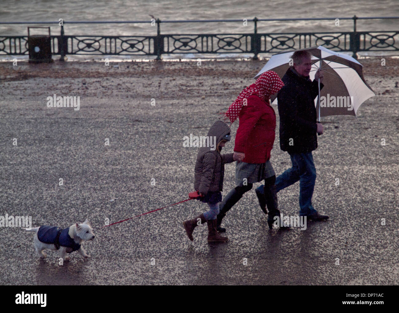 Battling the elements on a wet winter's day,on the seafront in Hove ...