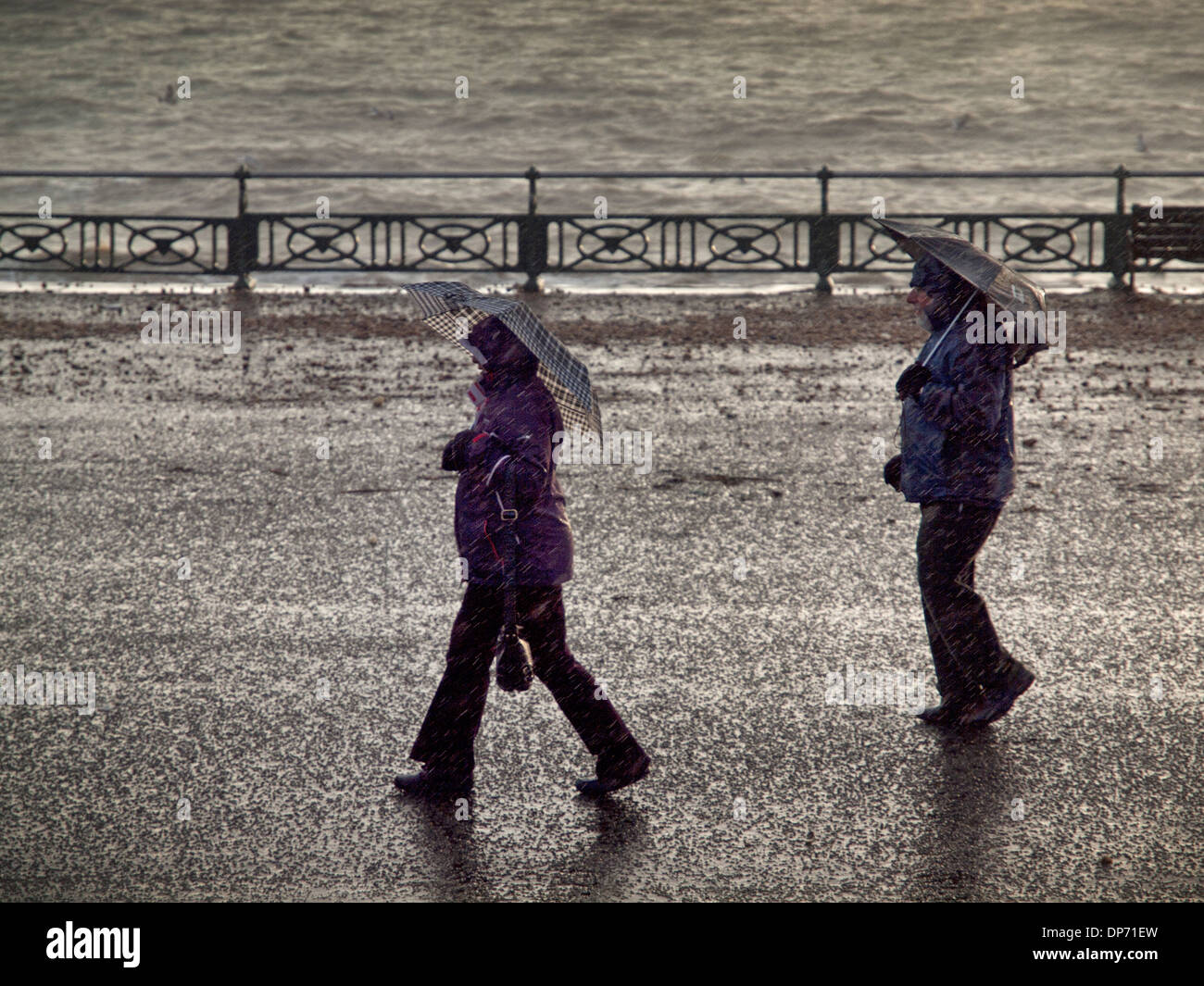 Battling the elements on a wet winter's day,on the seafront in Hove ...