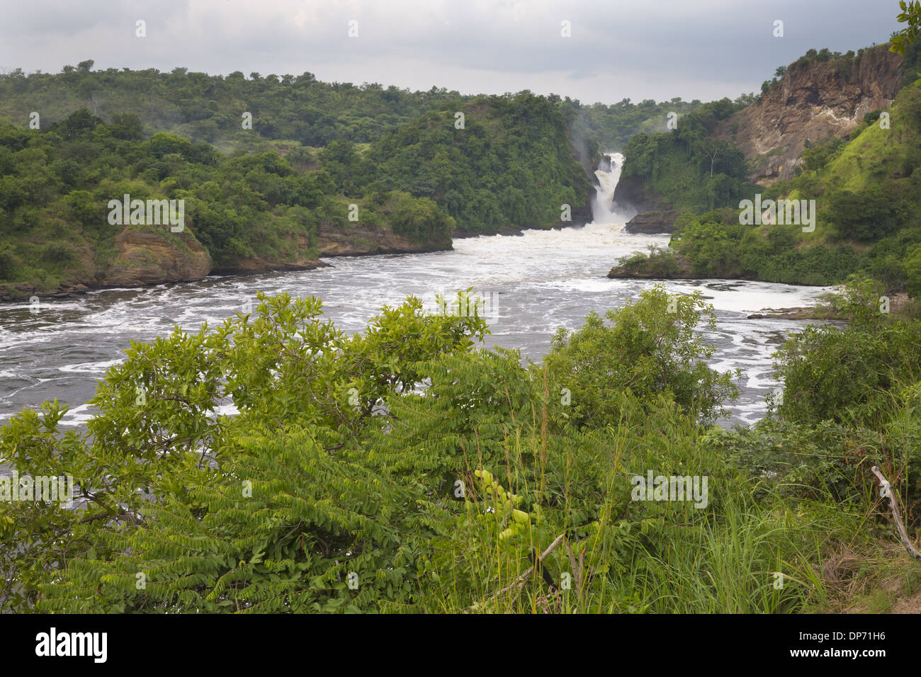 View of river and waterfall, Murchison Falls, White Nile, Murchison ...