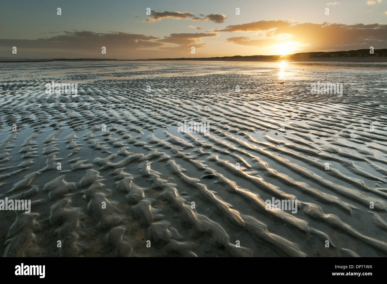 View of ripples in sand on beach during low tide at sunset, Camber ...