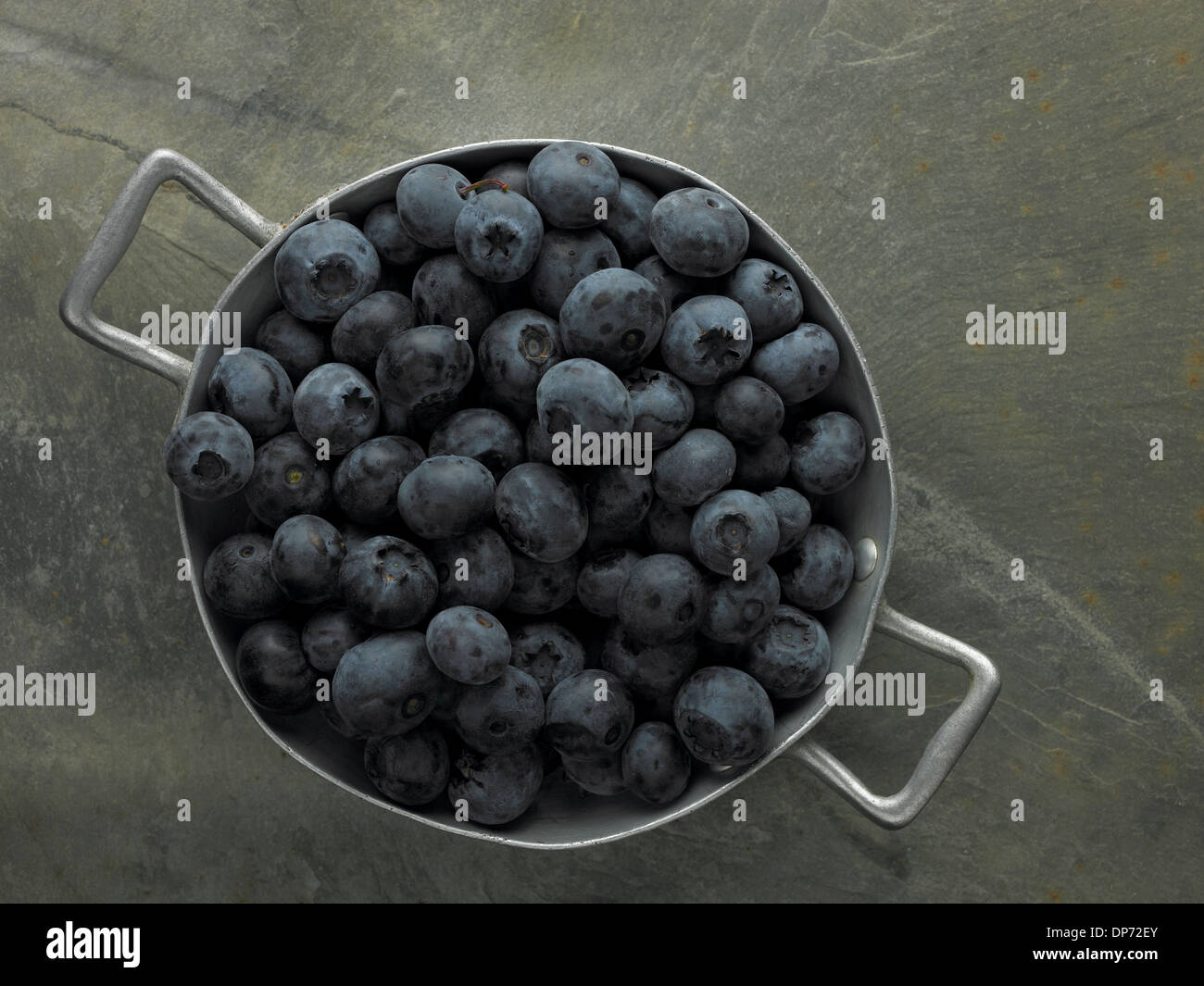 Blueberries grow hi-res stock photography and images - Alamy