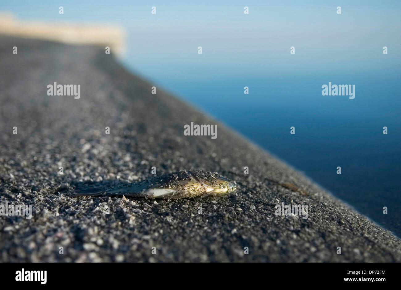 Salton sink hi-res stock photography and images - Alamy