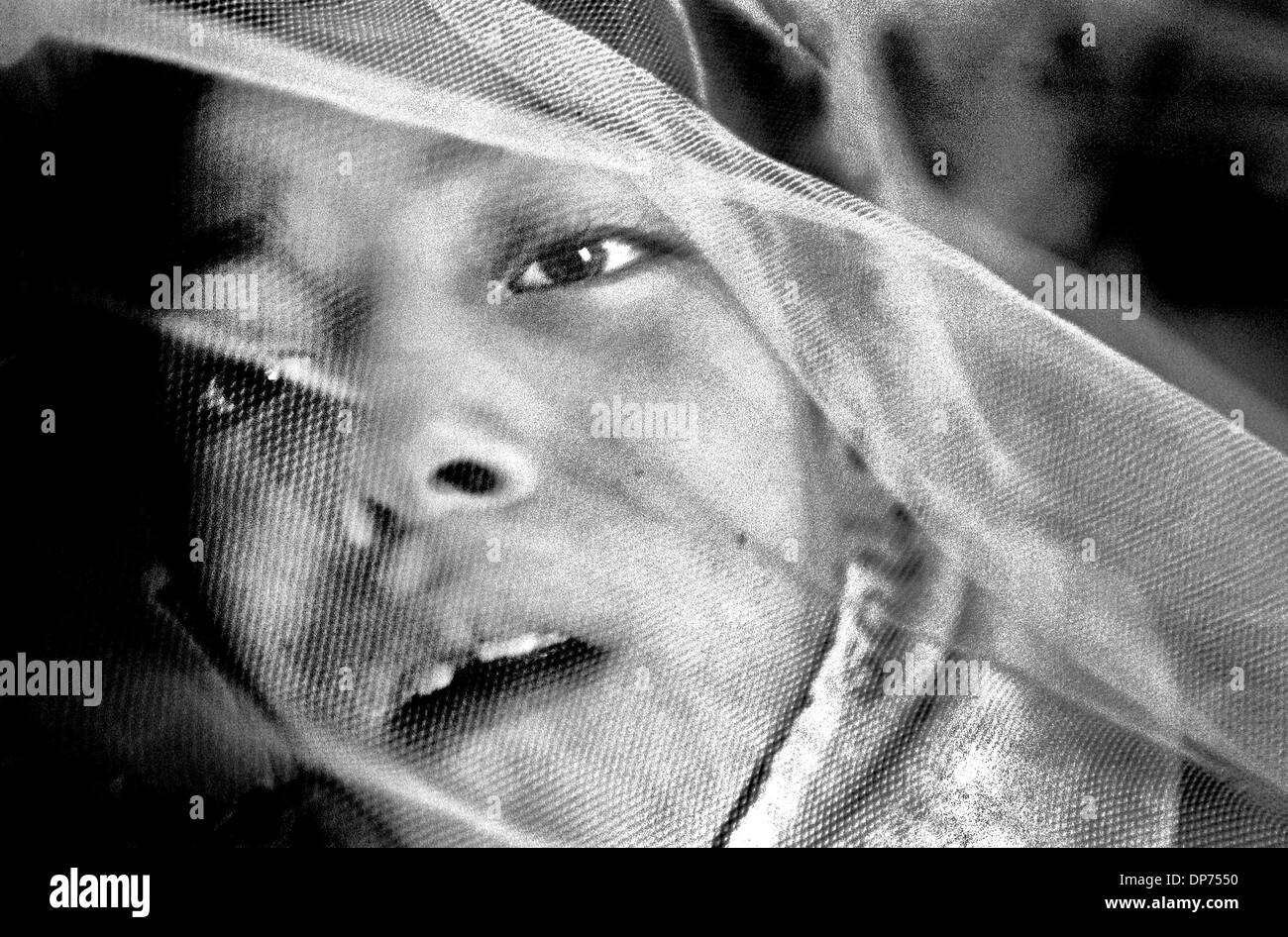 Amanda Cornejo's Instagram, Twitter & Facebook on IDCrawl