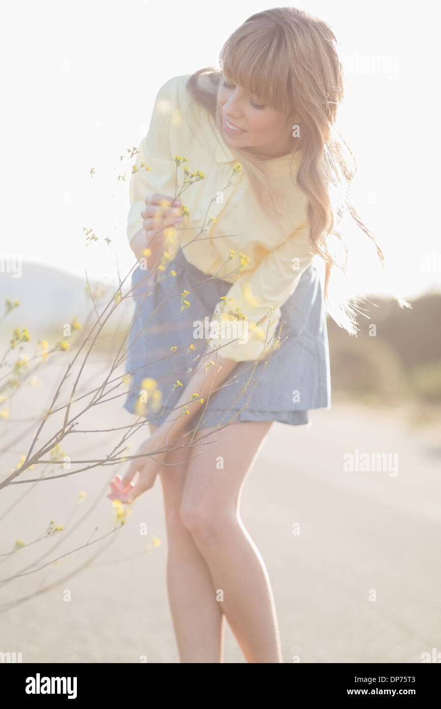 Plucking flowers hi-res stock photography and images - Alamy