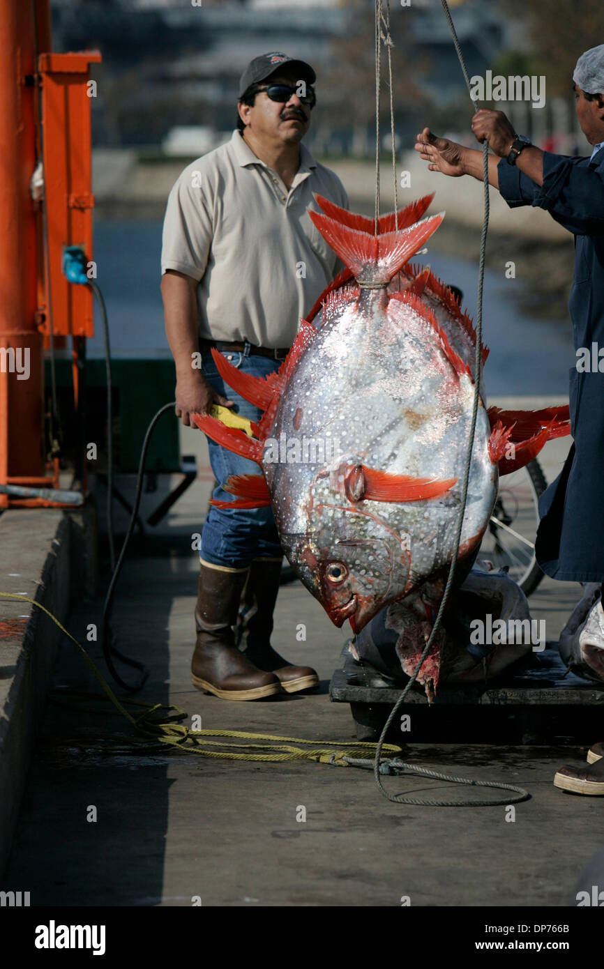 Nov 01, 2006; San Diego, CA, USA; RUBEN SANCHEZ, left, and PEDRO ...