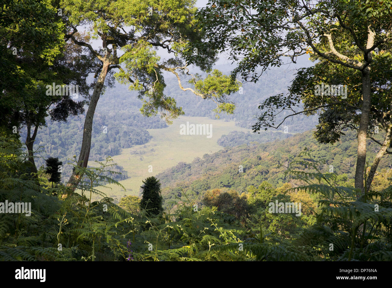 Albertine rift valley hi-res stock photography and images - Alamy