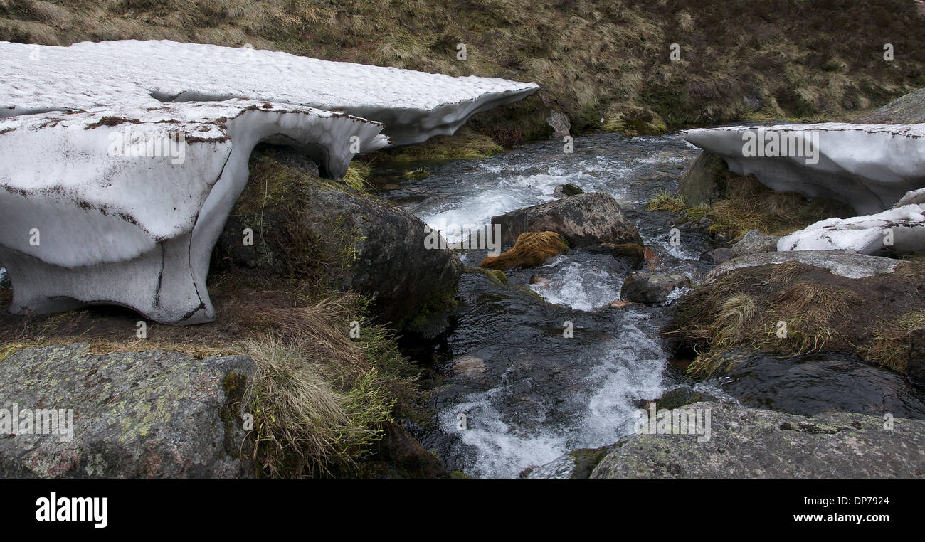 Collapsed snow bridge over river, Lairig Ghru, Cairngorms N.P ...