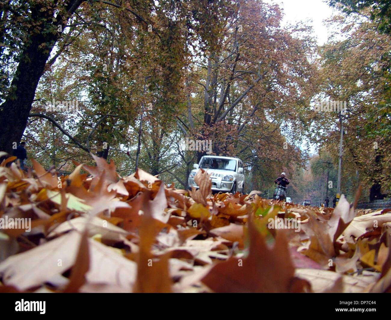 Nov 12, 2006; Srinagar, Kashmir, INDIA; Kashmiri citizens pass through ...