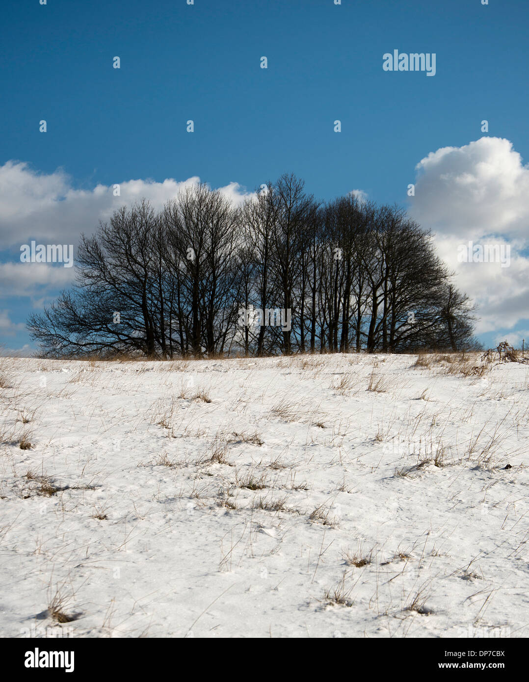 Snow scene in kent hi-res stock photography and images - Alamy