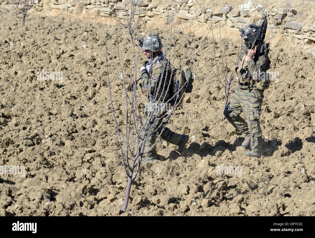 Afghan special forces commandos walk through a farm field during a ...