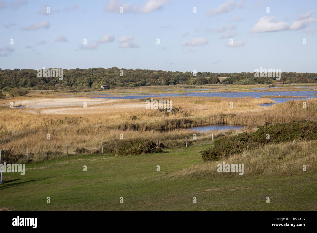 Minsmere wildlife lookout hi-res stock photography and images - Alamy