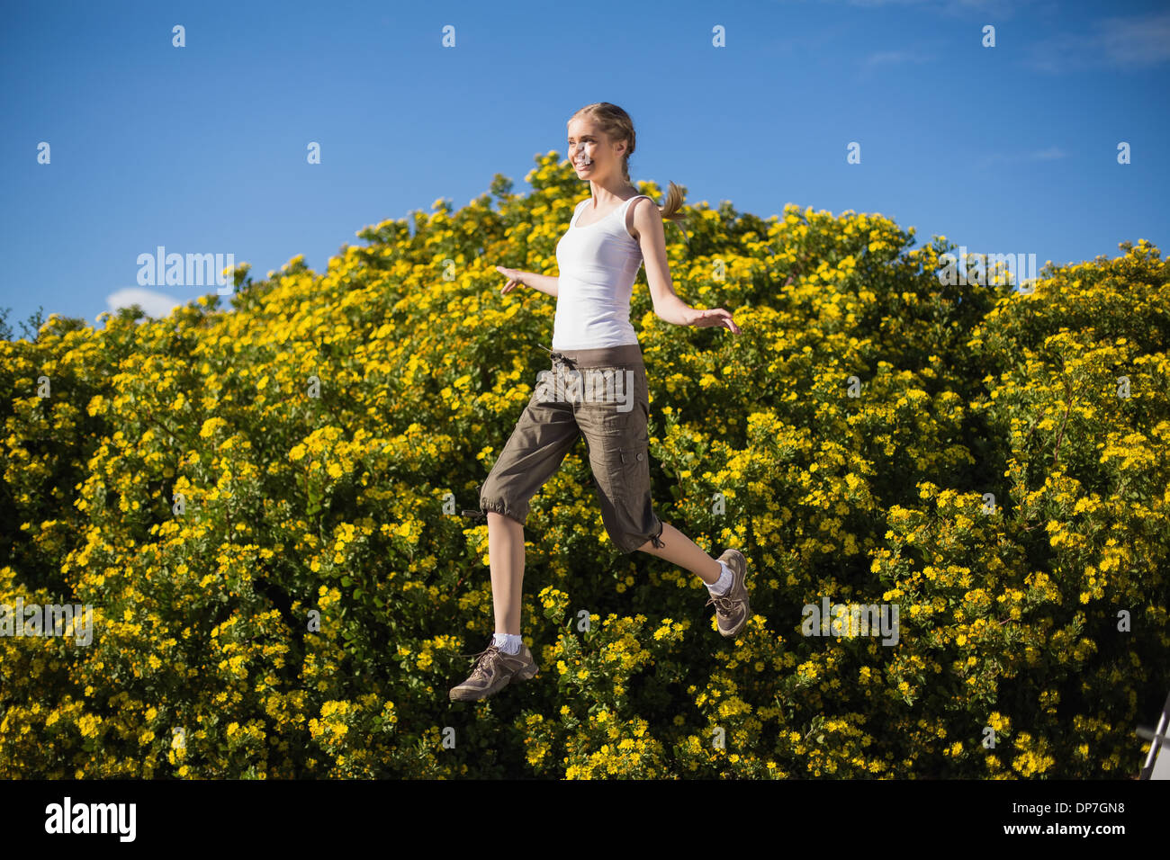 Cheerful yellow flowers hi-res stock photography and images - Alamy