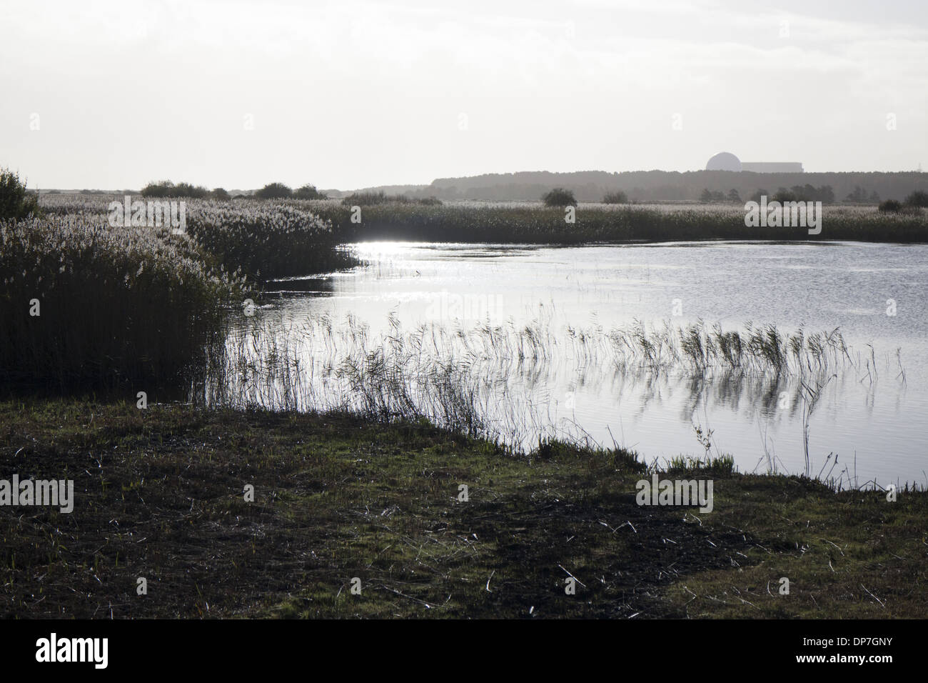 RSPB Minsmere looking south from Island Mere Hide towards Sizewell ...