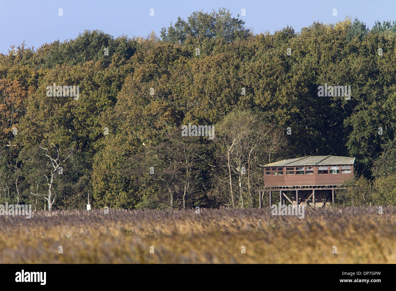 The Bittern Hide at RSPB Minsmere - Suffolk Stock Photo - Alamy