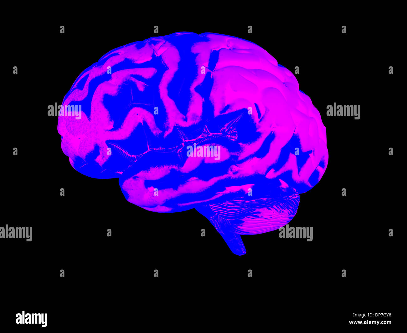 High resolution image. 3d rendered illustration. 3d human brain Stock ...