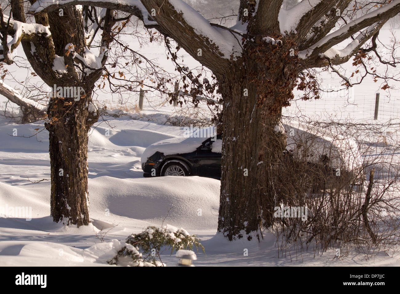 Farm with driveway hi-res stock photography and images - Alamy