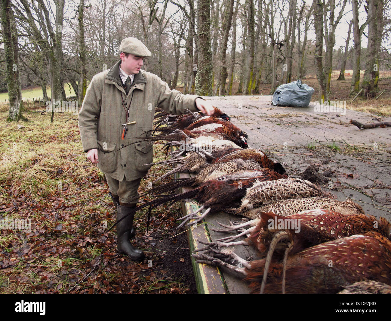 Gamekeeper scotland hi-res stock photography and images - Alamy