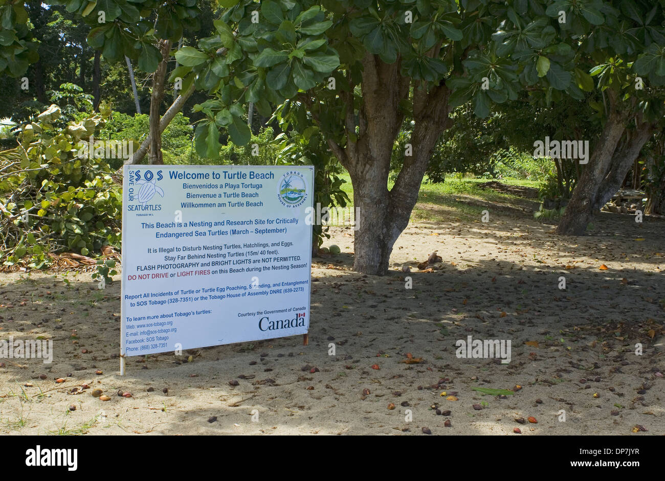 This Beach is a Nesting and Research Site for Critically Endangered Sea ...