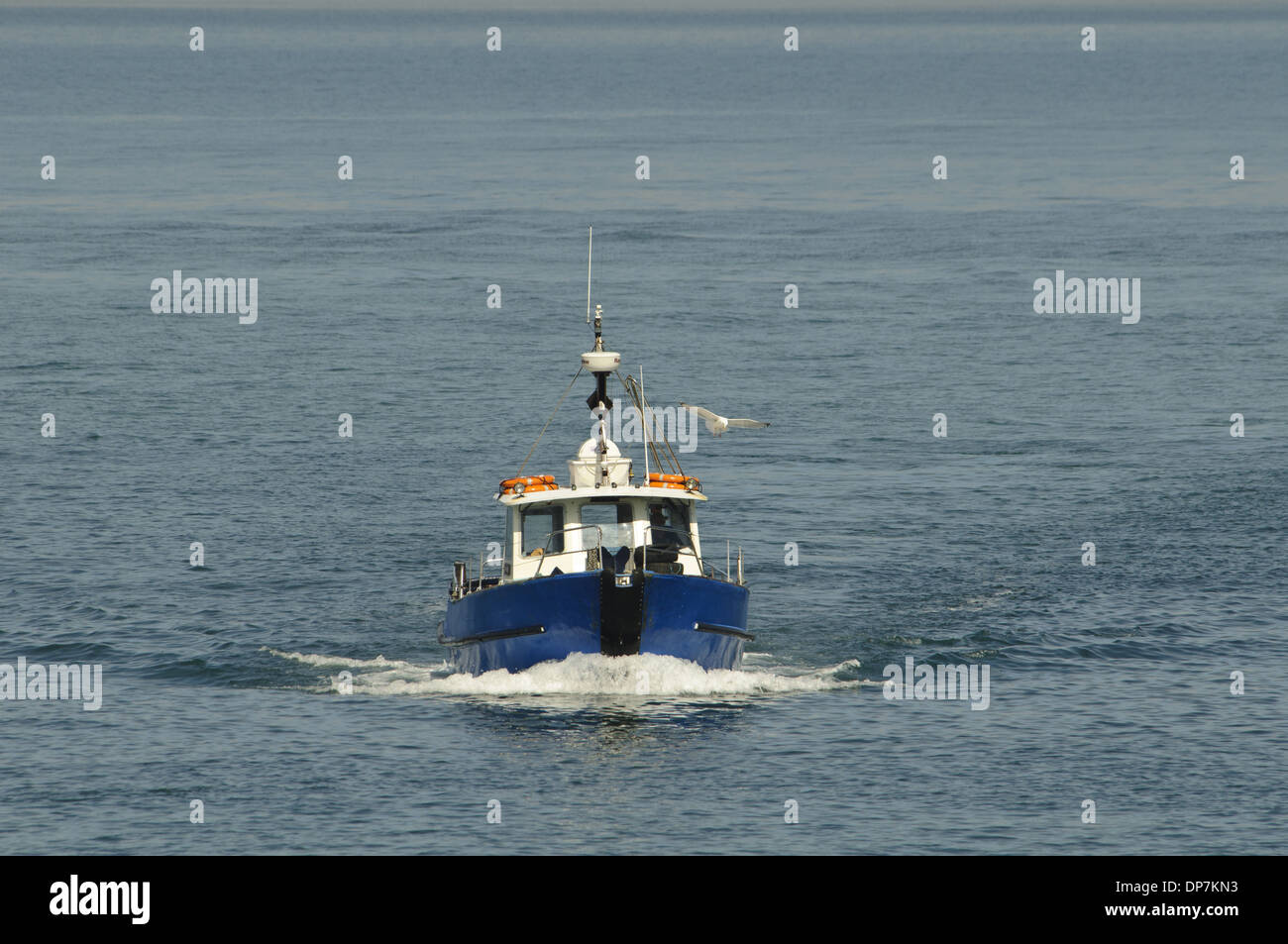 The Dale Princess' boat approaching island to pick up day-trippers and ...