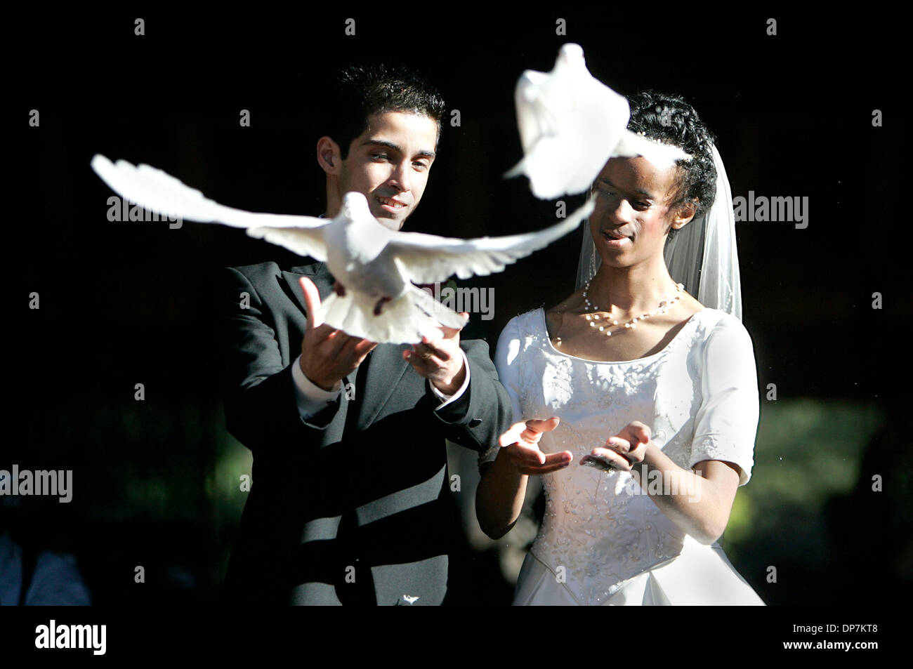 Mother robin hi-res stock photography and images - Alamy