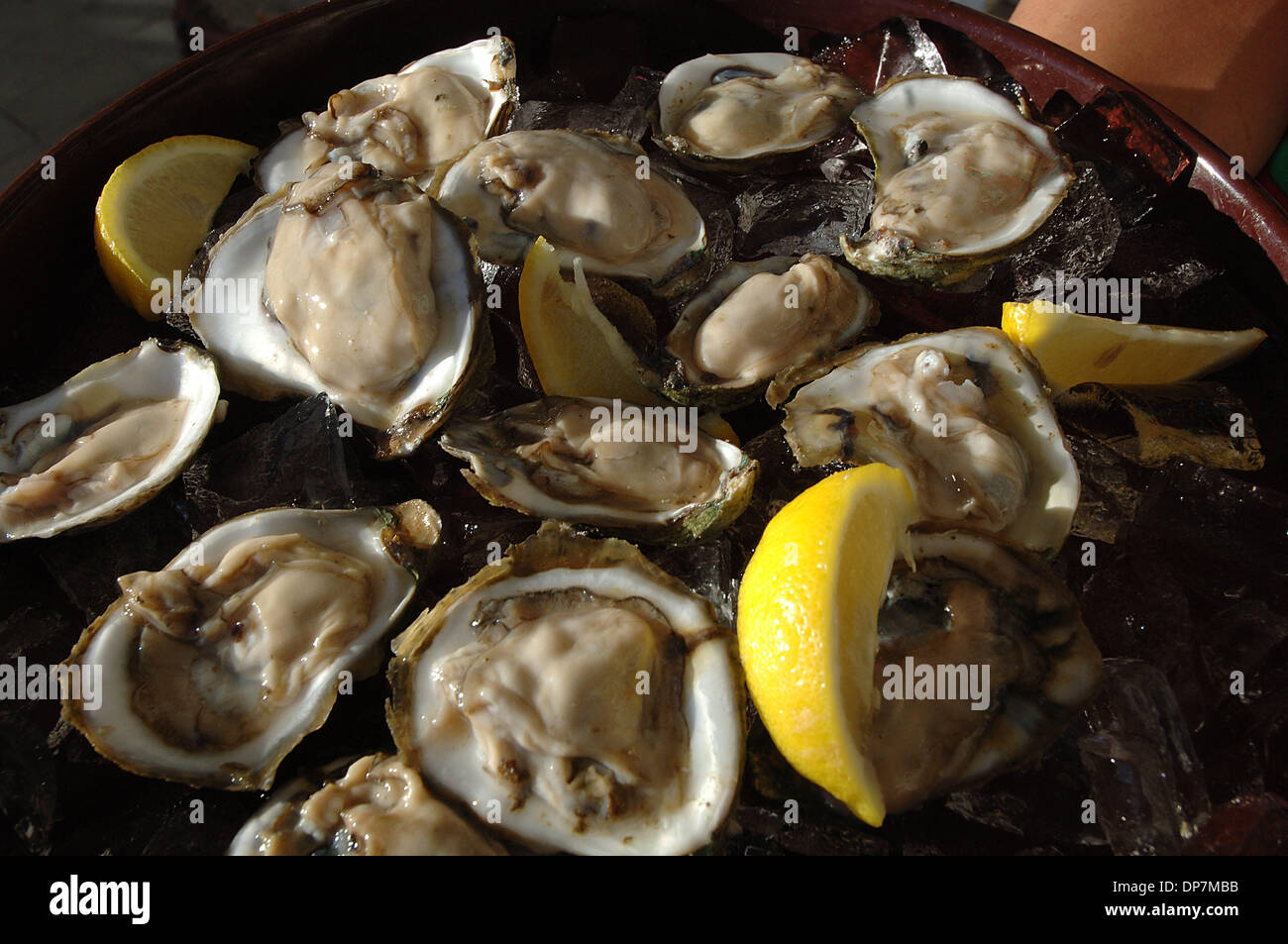 Feb 12, 2006; Miramar Beach, FL, USA; "Oystermania" at Buster's in ...
